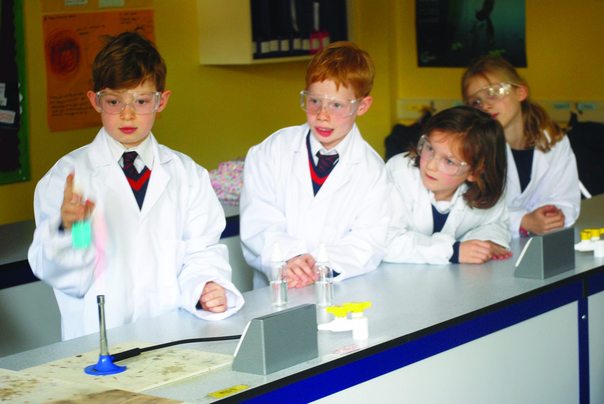 Loving The Lab - Noticed.com